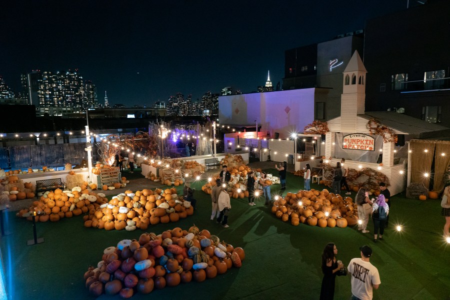 Cityside Pumpkin Patch brings 10,000 pumpkins to Queens for the fall