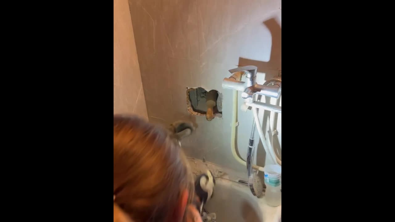 Rescuers free cat trapped for four days inside wall vent shaft in ...