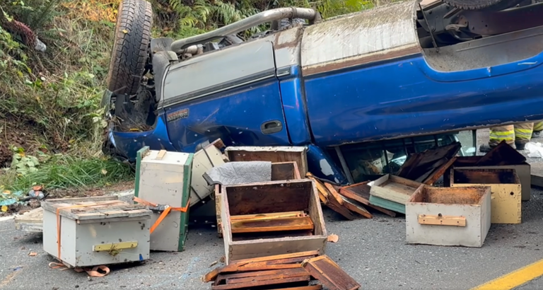 Truck of ‘not happy bees’ spills onto Clark County road