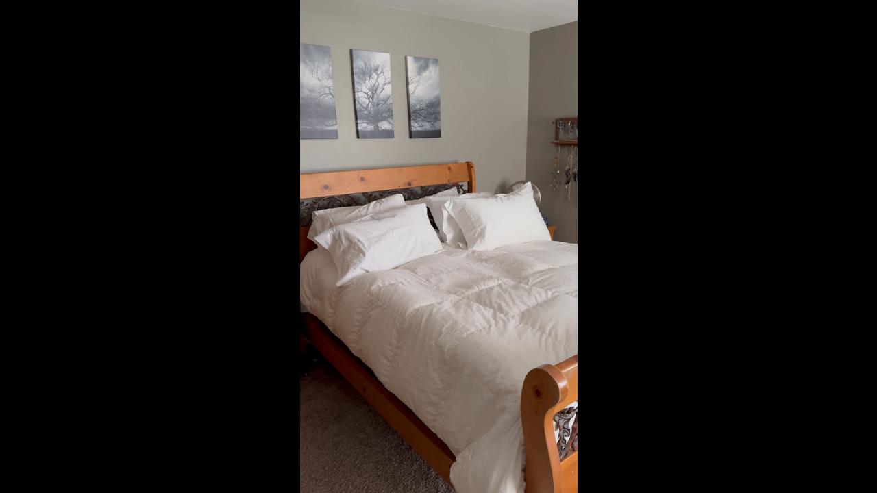 My Cat When I Vacuum