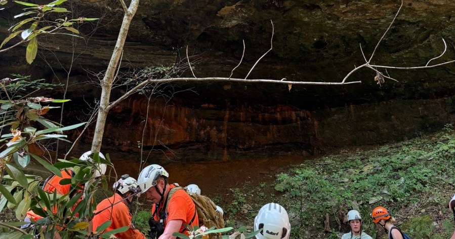 Hiker in ‘serious condition’ after 40-foot cliff fall at Muir Valley ...
