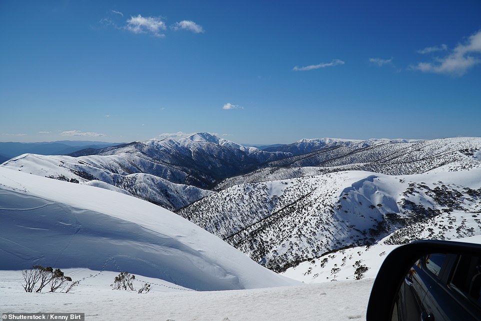 Two women found dead in remote Victoria bushland