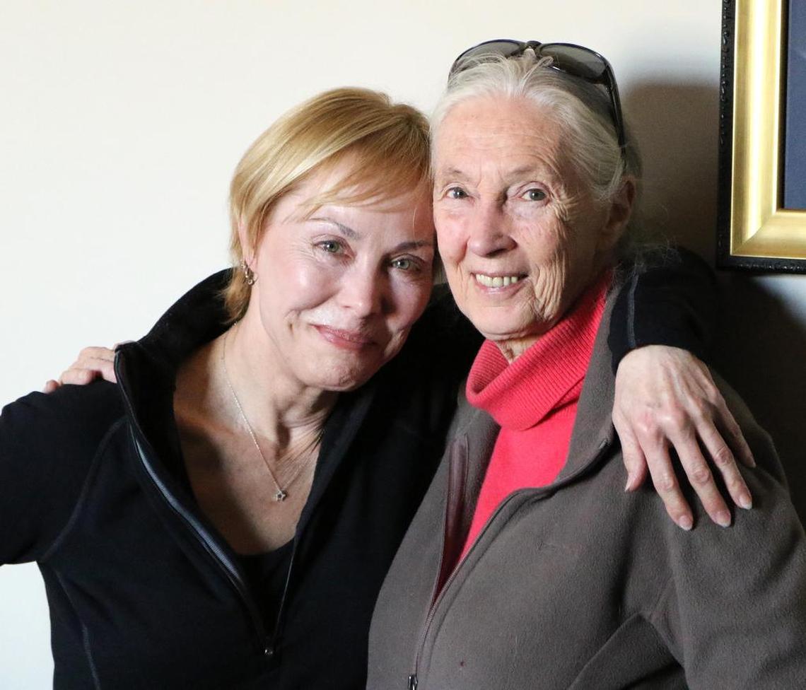 ‘Try to keep up with Jane Goodall.' South Hill artist remembers her friend