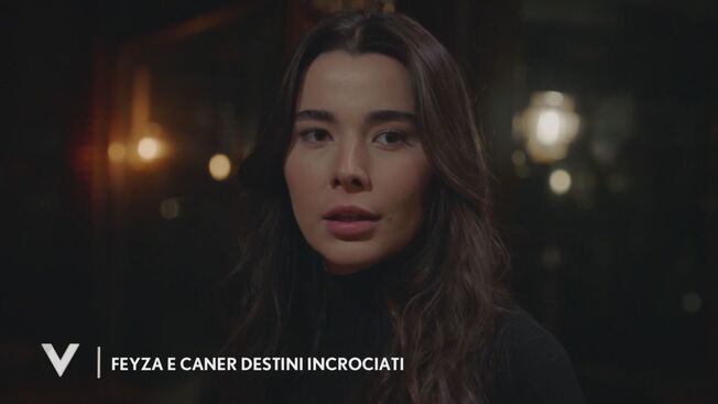 Caner Sahin e Feiza Sevil Gungor, destini incrociati