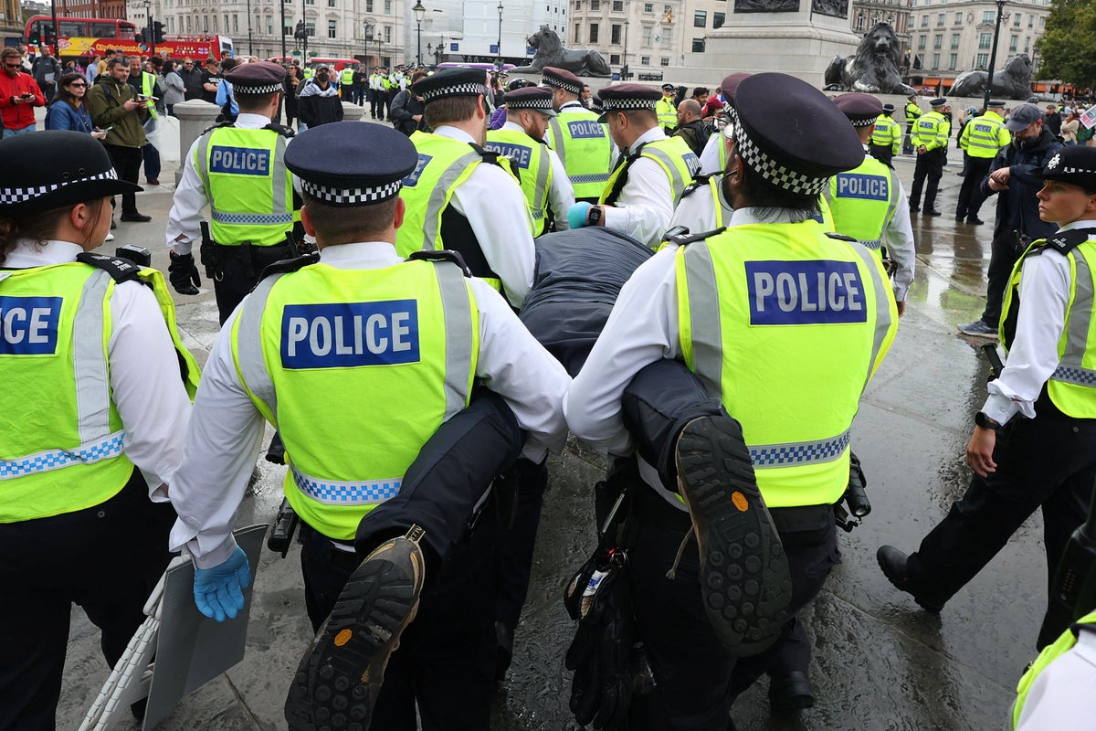 Palestine Action protest latest: Met Police make 493 arrests after ...