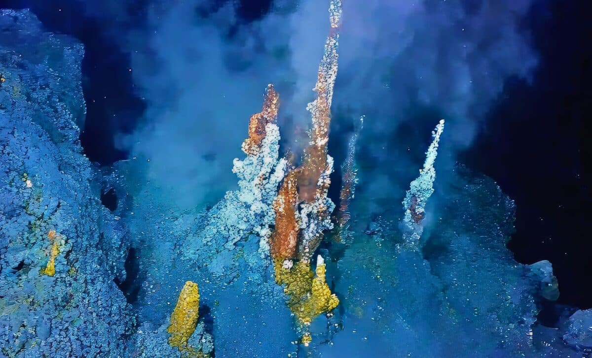 Scientists Uncover Millions Of Golden Eggs Near An Underwater Volcano