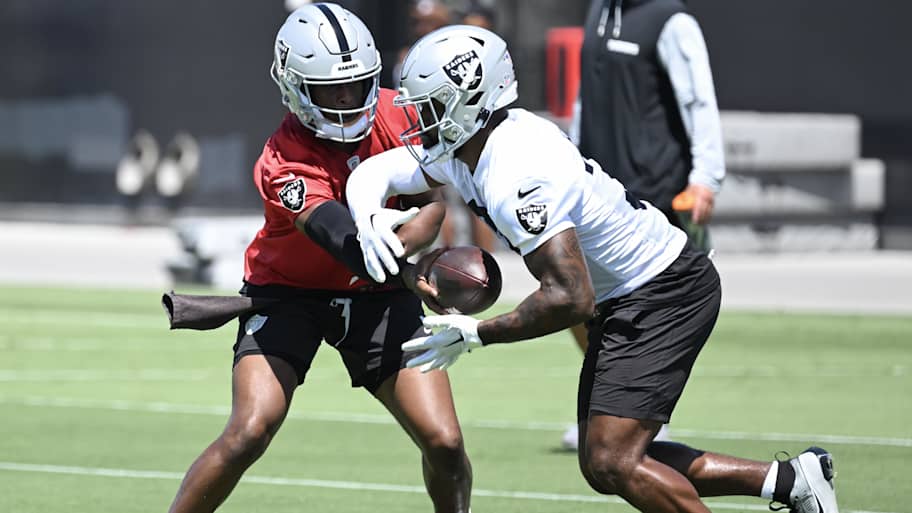 Raiders' Offseason Addition is Set to Play a Vital Role