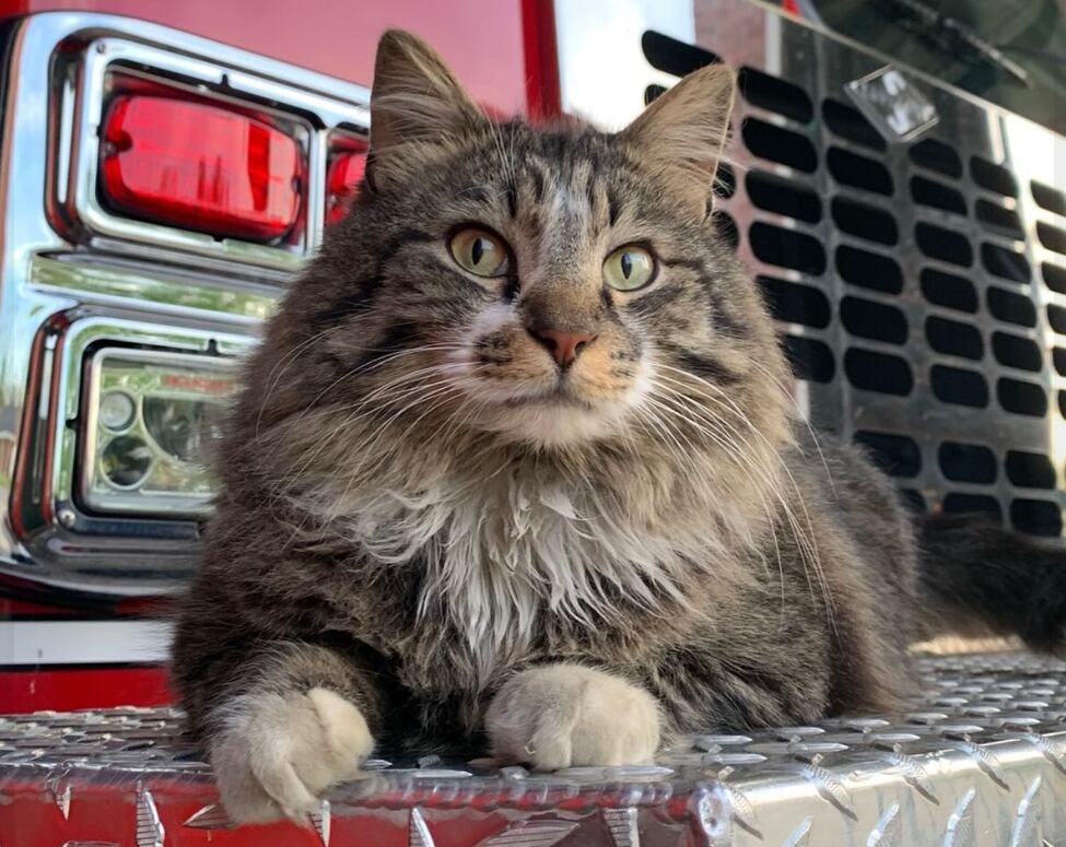 Ky. fire dept. offering reward after Herman Clark, the beloved station ...