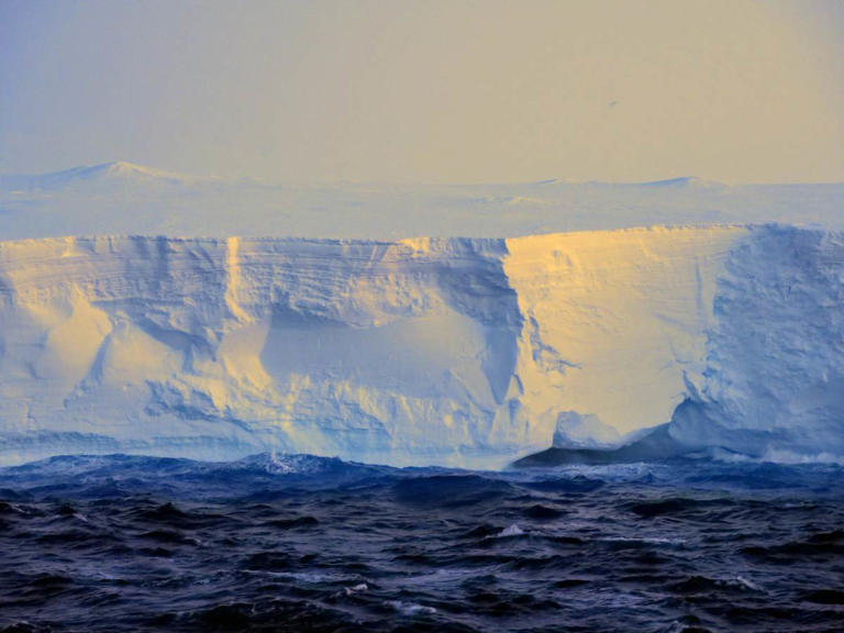 NASA Satellite Captures Heartbreaking Visuals of the World’s Largest ...