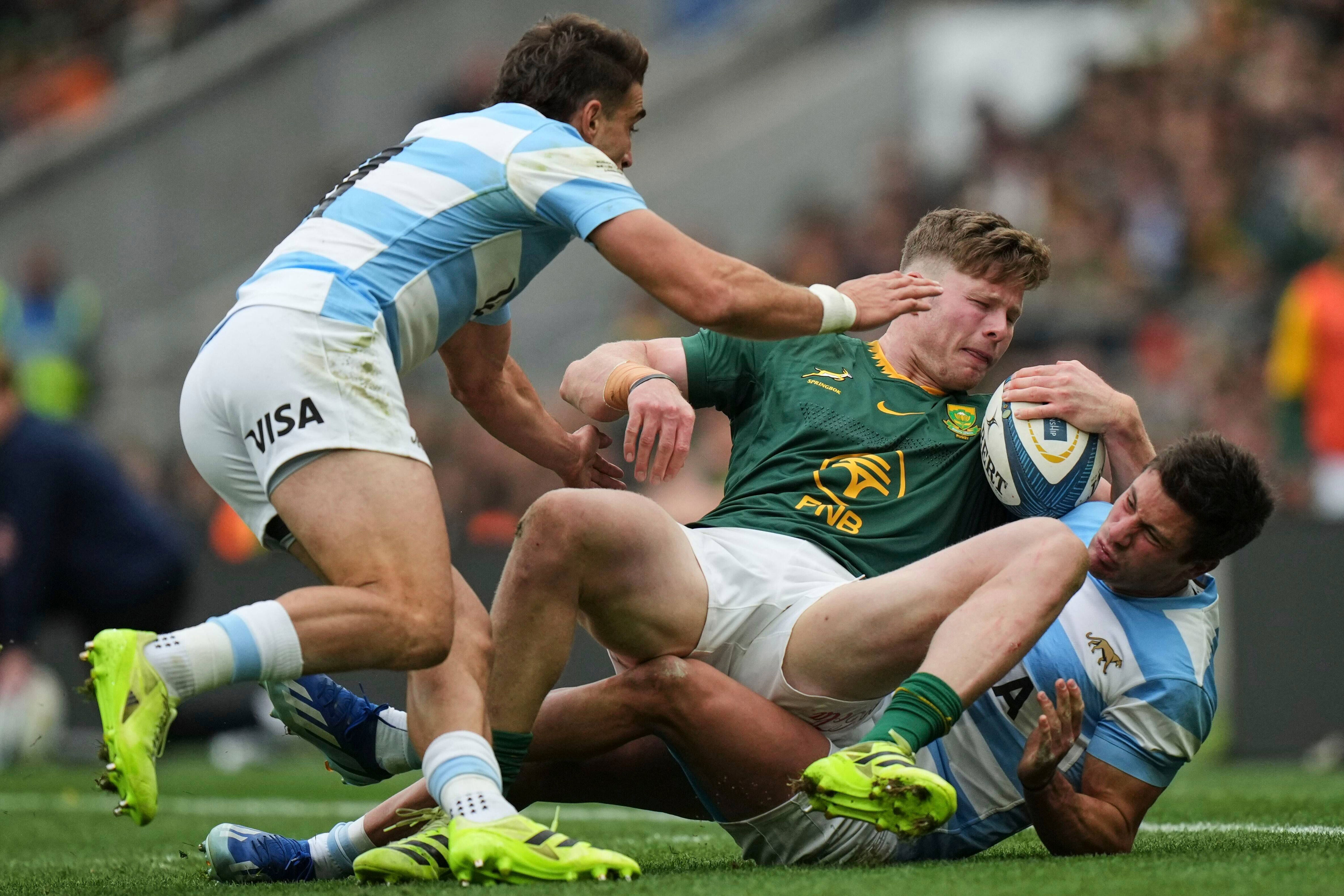 Argentina v South Africa live: Springboks survive brutal battle to win ...