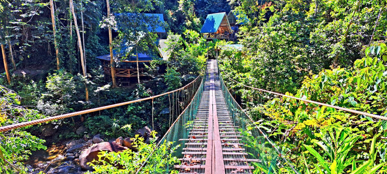 Bunking in Borneo's Rainforest, Malaysian Style