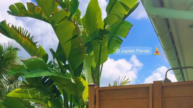 Livvy Dunne flaunts new house in Tiger Woods’ neighborhood with pool selfie