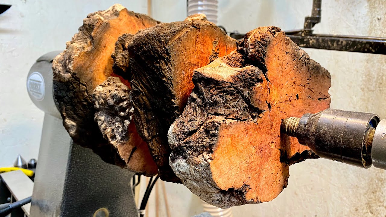 Woodturning magic: The Phoenix burl