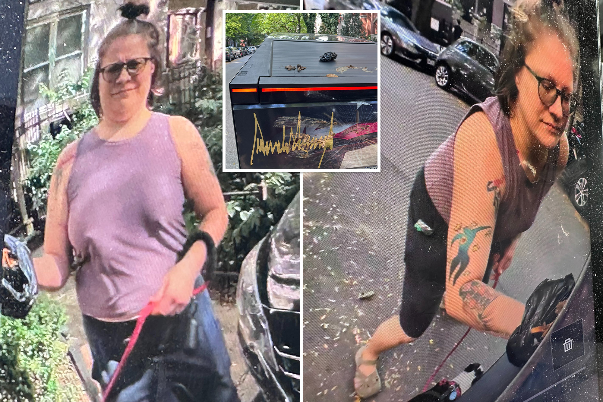 Chicago woman smearing dog poop on Trump-themed Cybertruck caught on camera
