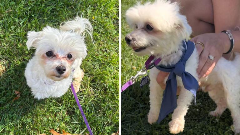 Intel vs AMD: Which CPUs Are Better in 2025?