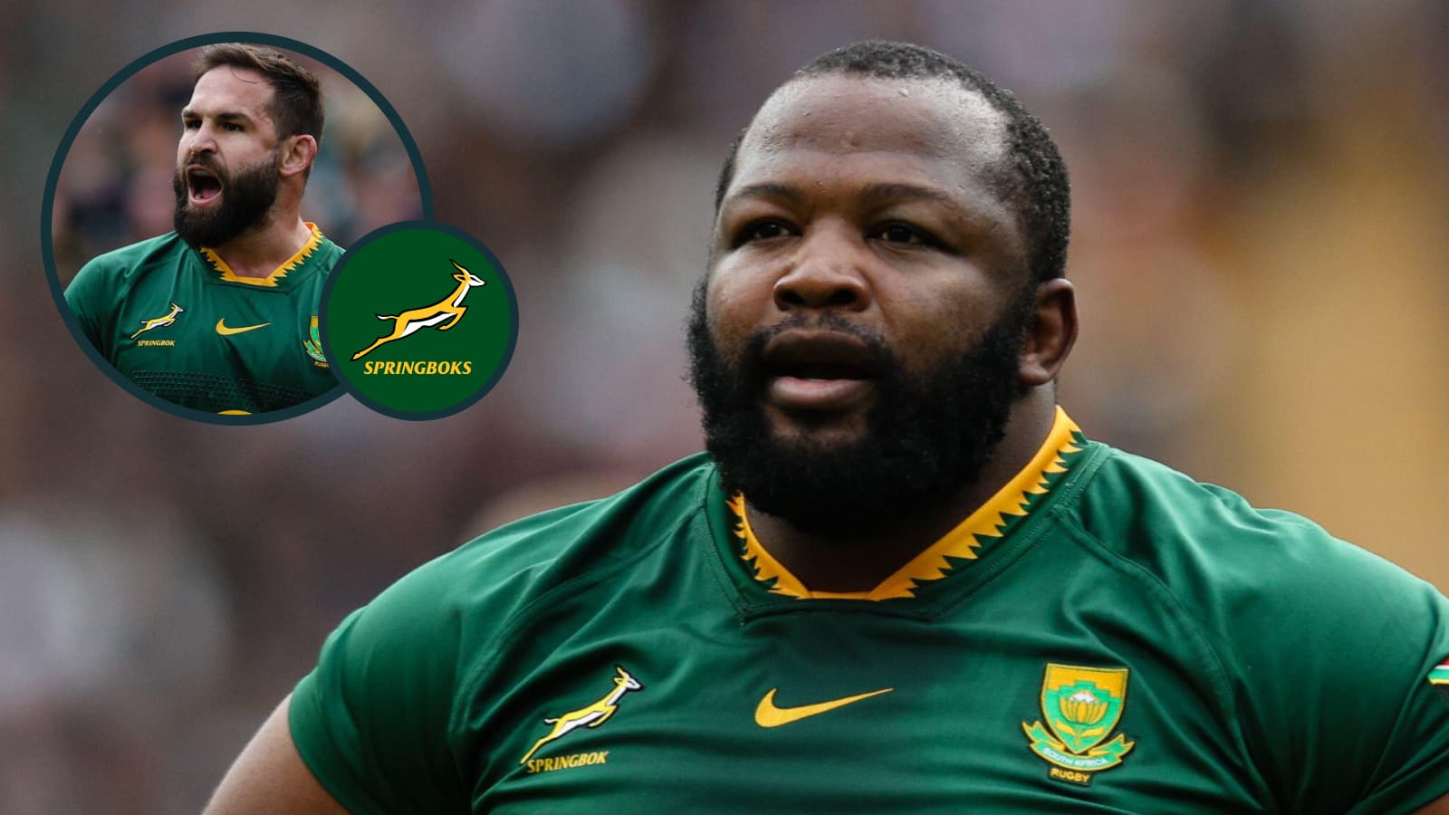 Springboks player ratings: Pack ‘absolutely obliterates’ poor Pumas ...