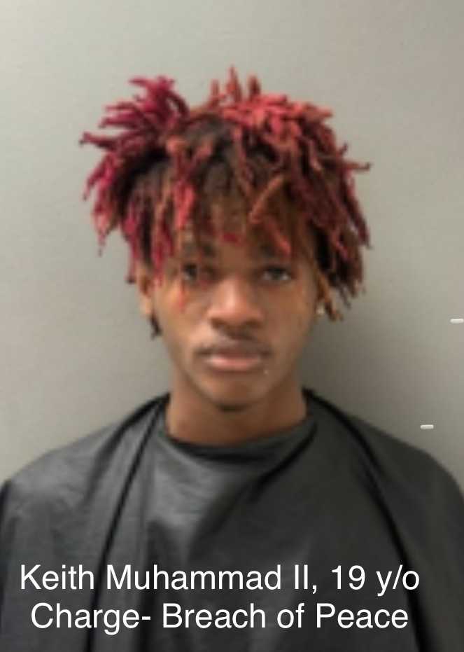 MUGSHOTS: 4 arrested after armed robbery at Upstate retail store ...