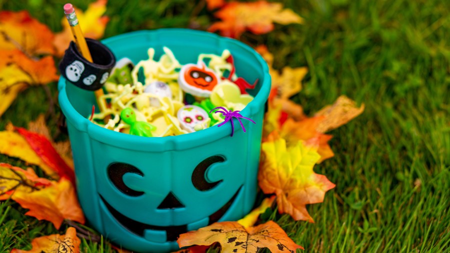 Teal is the new pumpkin color this year