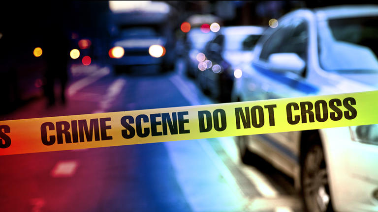 Man found shot to death inside Greater Grand Crossing home, Chicago ...