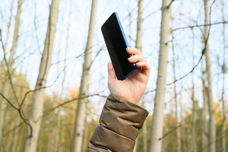 Terrible Cellphone Connection? Try These Quick Steps to Boost Your Signal