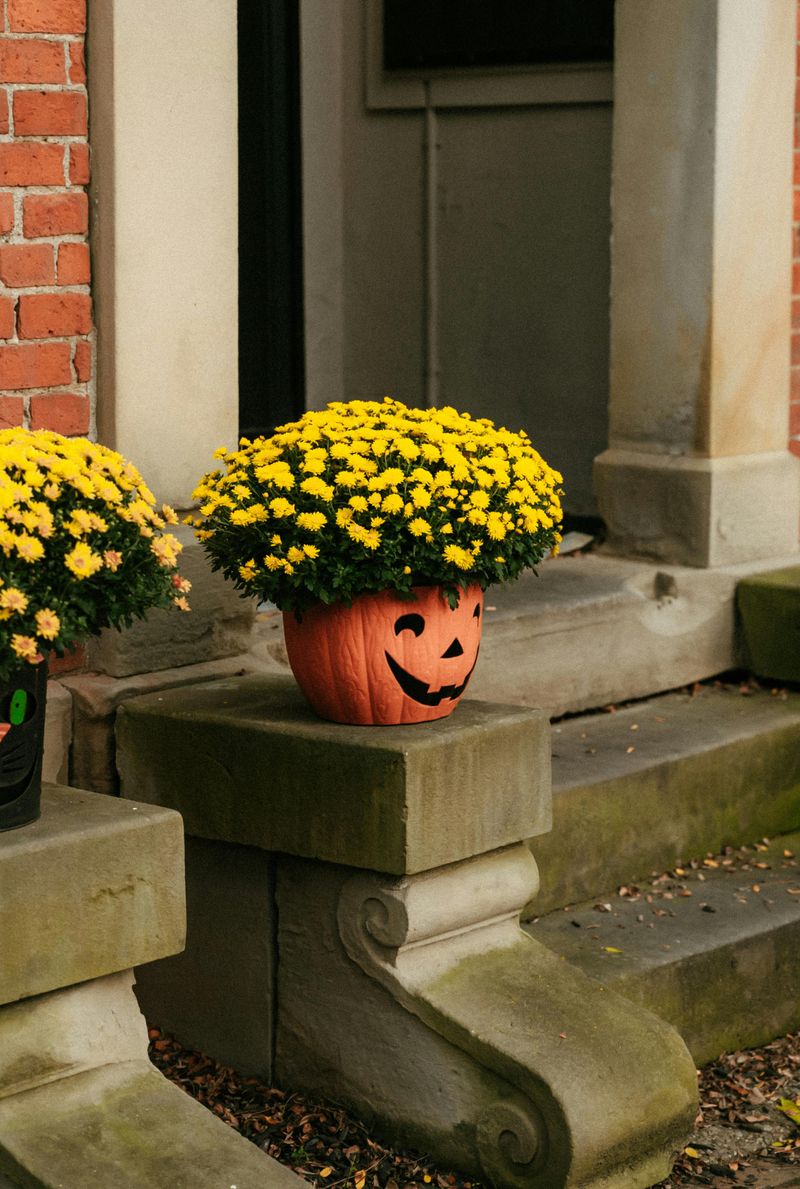 Outdoor Fall Decor Ideas With Plant Pots, Porch Signs, And More