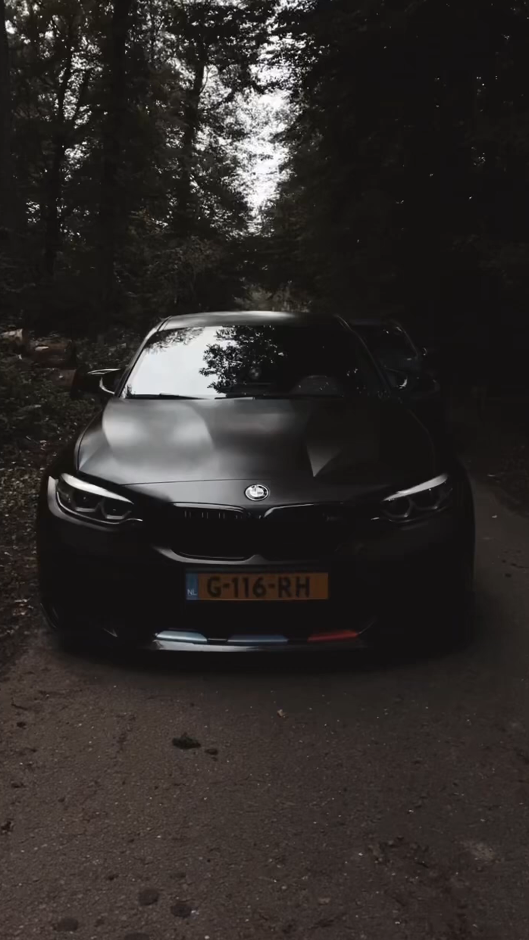 BMW M2 Competition and M5 Ride