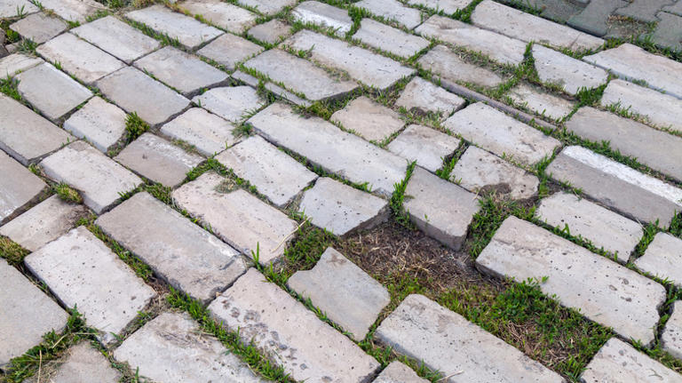 Stop Weeds From Growing Between Cracks And Pavers With An Easy Homemade ...
