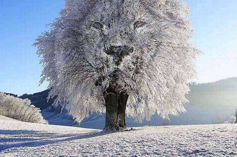 Find out if you're a 'closed off' person or 'social' in mesmerising ...