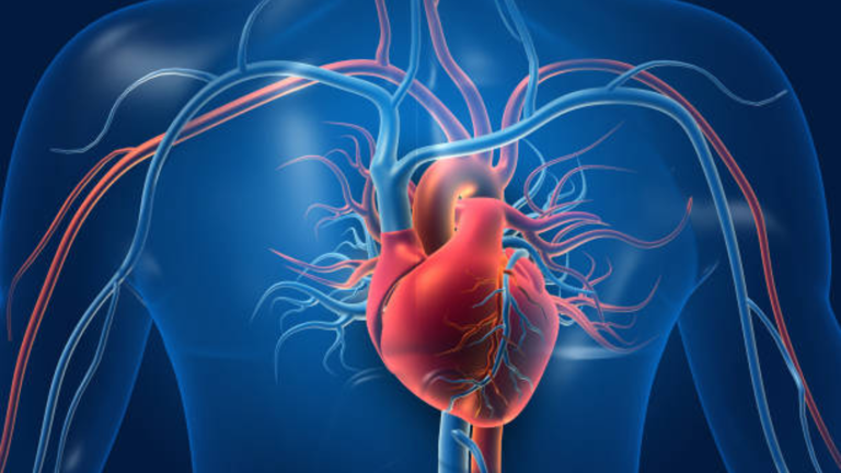 Cardiologist reveals surprising cause of heart failure: No, it’s not ...