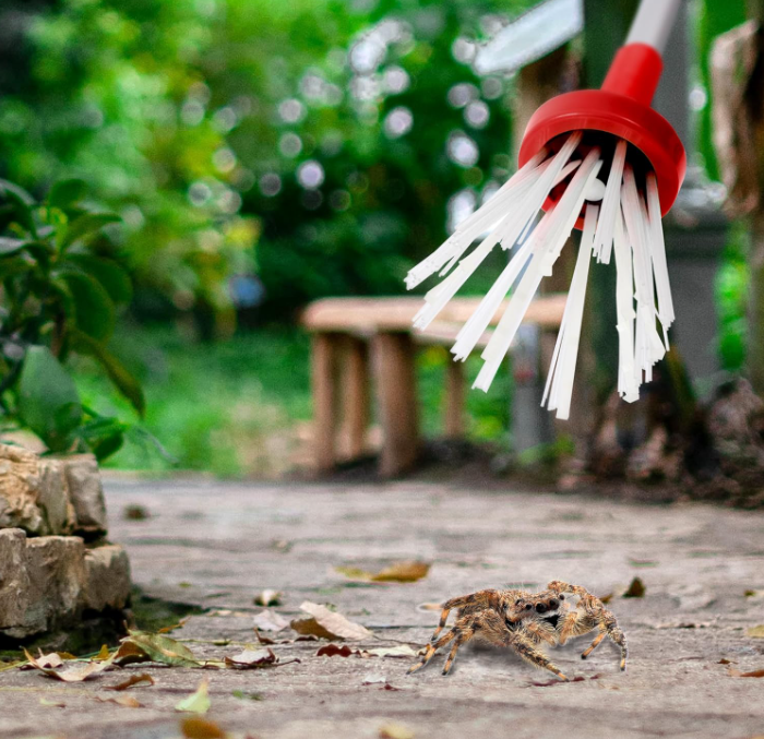 Catch spiders easily with this amazing new gadget
