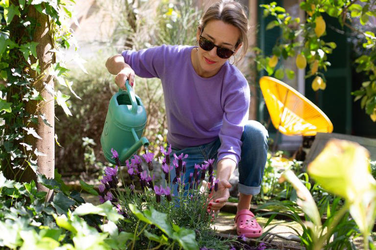 Gardeners can save plants in 24 hours by adding ingredient
