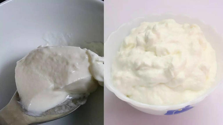 Greek yoghurt vs hung curd: Which is healthier, higher in protein, and ...