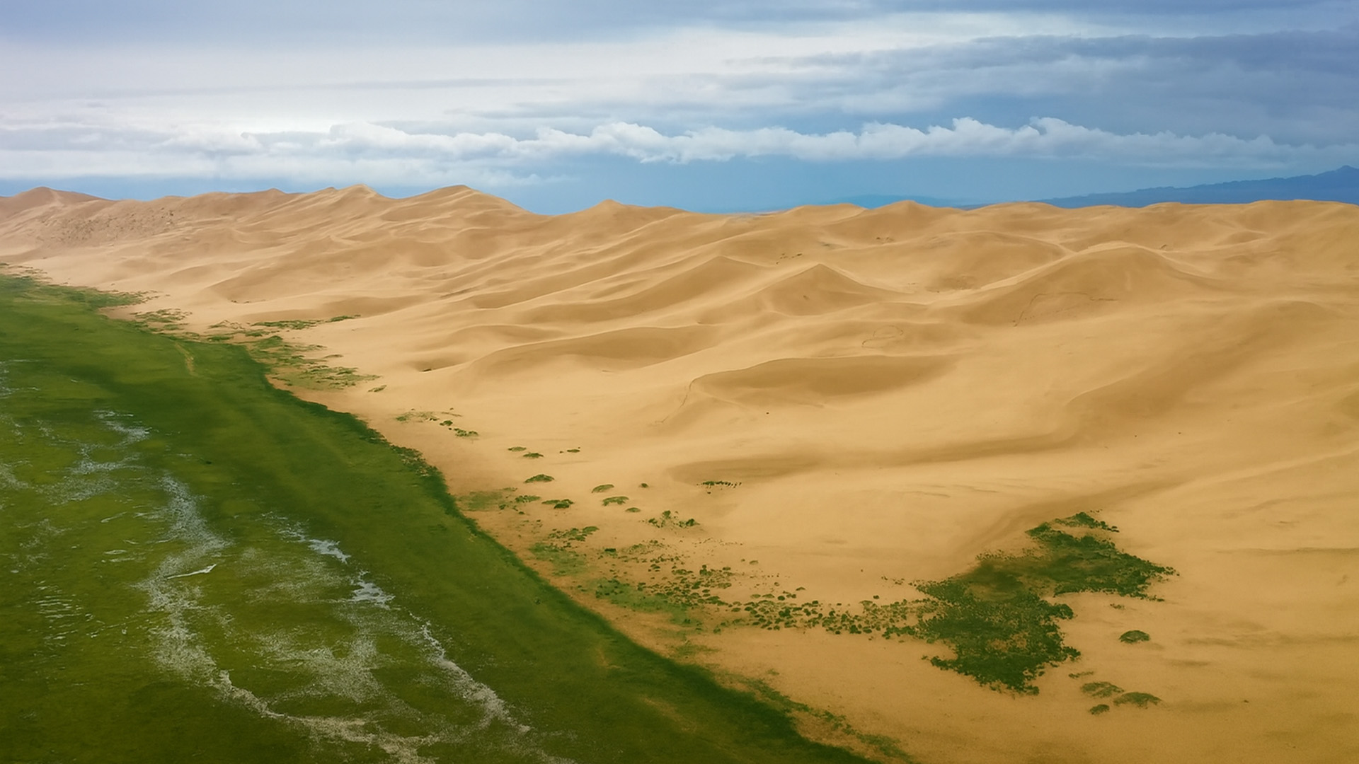 Desierto de Gobi, Mongolia – Dunas doradas y oasis verde en 4K