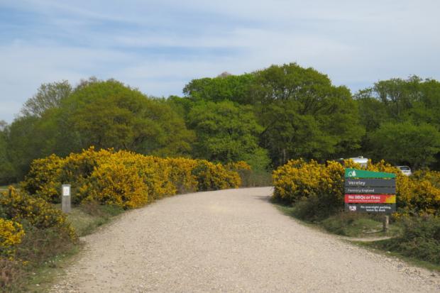Controversial New Forest parking charges will be introduced in 2026
