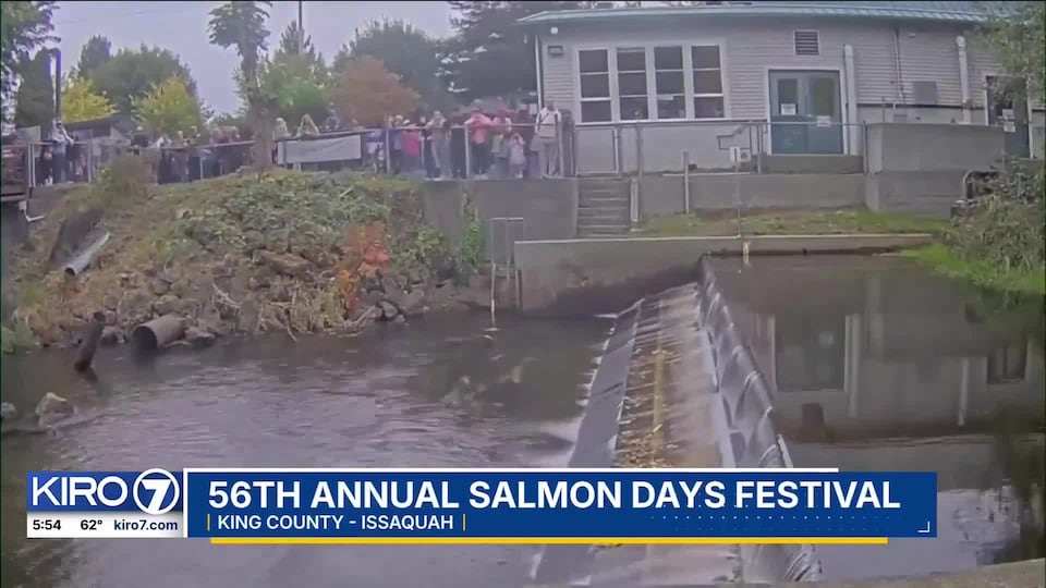 VIDEO: Issaquah Hosts 56th Annual Salmon Days Festival
