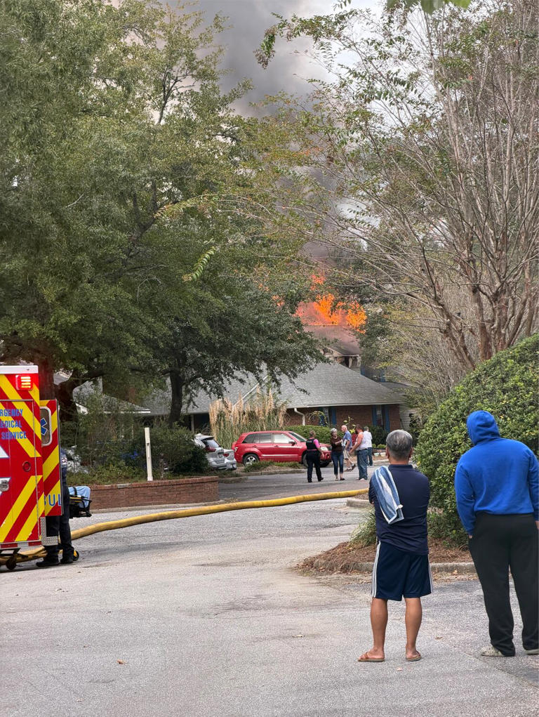 Dog reported dead after Goose Creek house fire