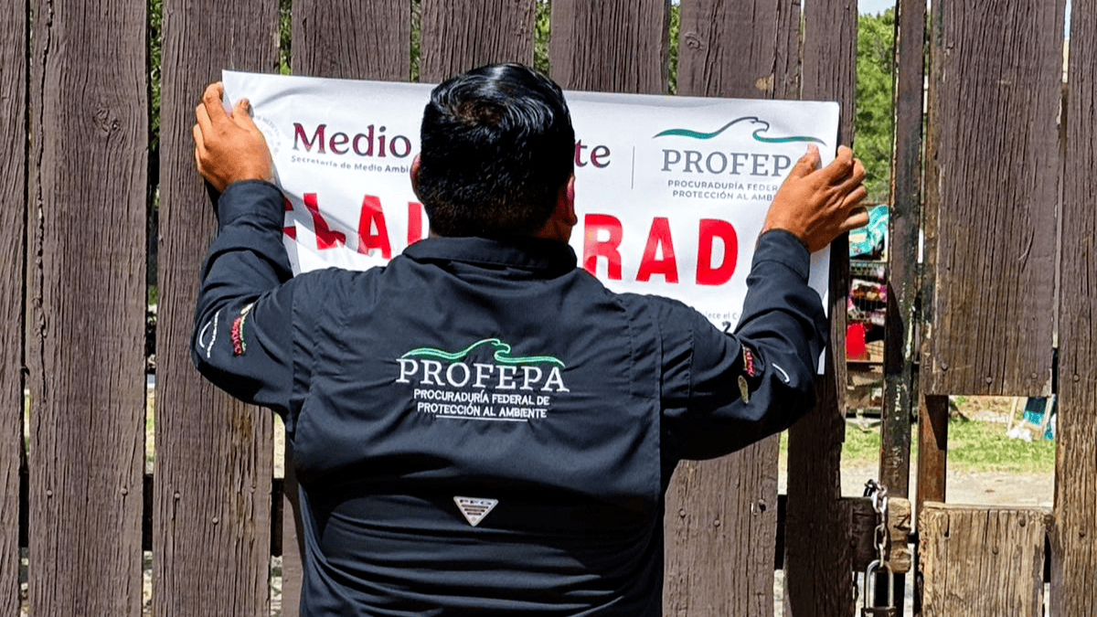 Director del Parque La Pastora cuestiona la decisión de Profepa tras el ...