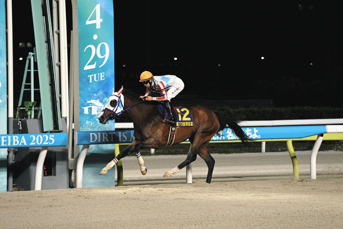 【大井競馬・JDクラシック確定】3冠を目指すJRAナチュラルライズは15番