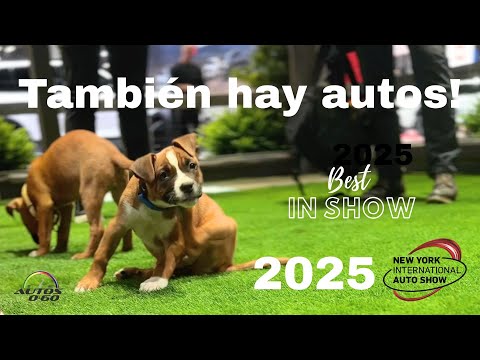 Título: New York Auto Show 2025: ¡Subaru y sus perros #LoMejorDelShow ...