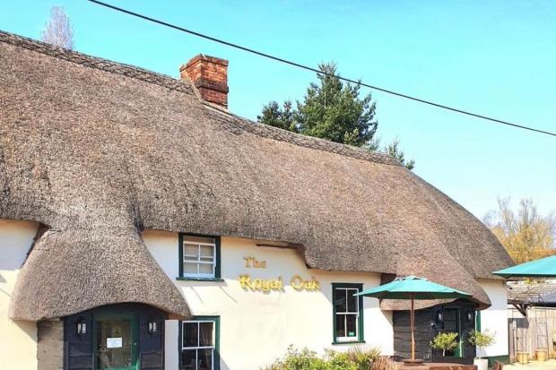 The cosy 17th Century thatched country pub with regular New Forest pony ...