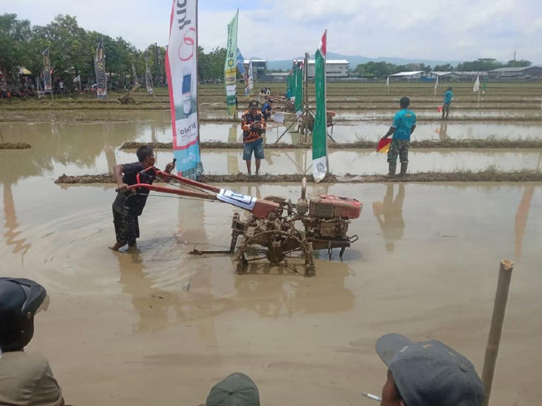 Festival Balap Traktor Purbalingga 2025 Meriahkan HUT TNI ke-80 dan Hari Tani Nasional, Alex ...