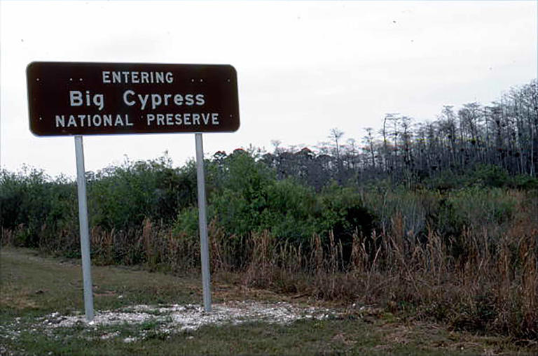 From the Archives: Big Cypress National Preserve turns 51
