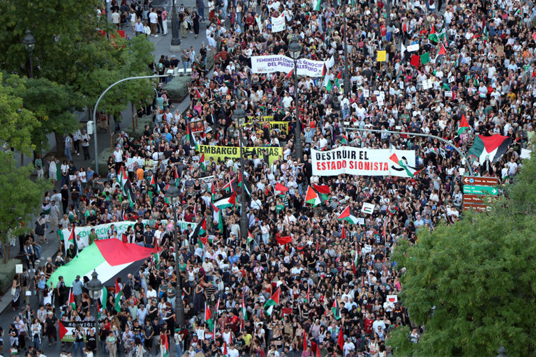 Eight arrested, 20 police hurt in clashes at Spanish Palestine march
