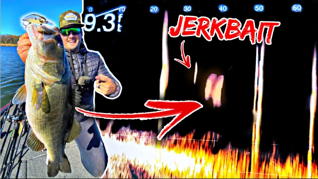 Why live sonar is stirring debate among serious bass anglers