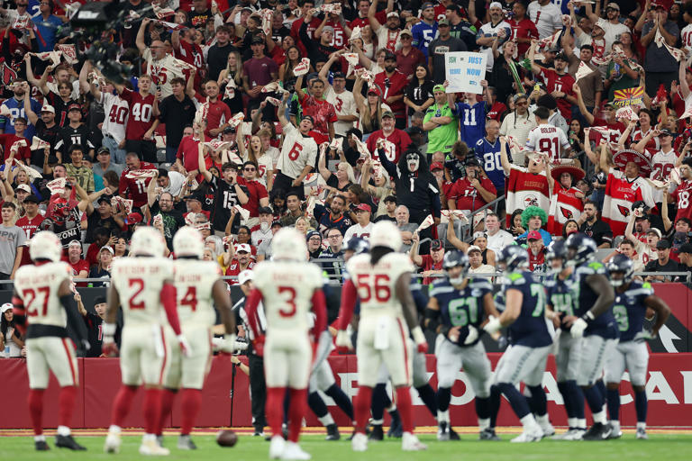 Arizona Cardinals fans want to see a little more in the win column