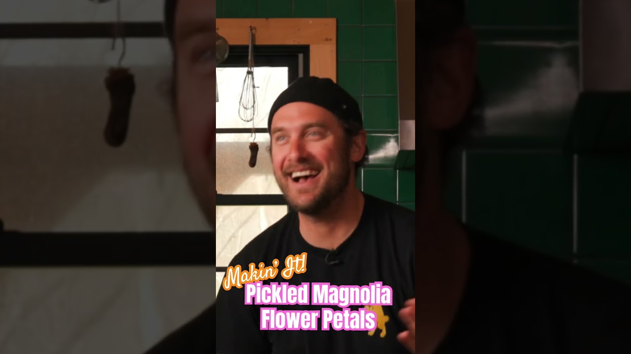 Pick, pickle, and pop magnolia petals for a unique snack