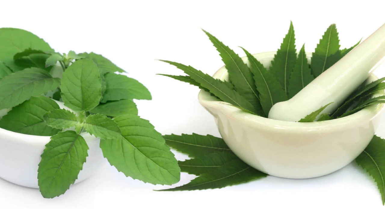 How to make your own tulsi & neem hair pack at home for faster hair growth
