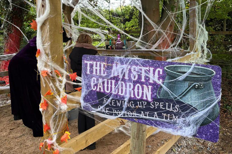 Stockeld Park Halloween Adventure proves ideal half-term visit