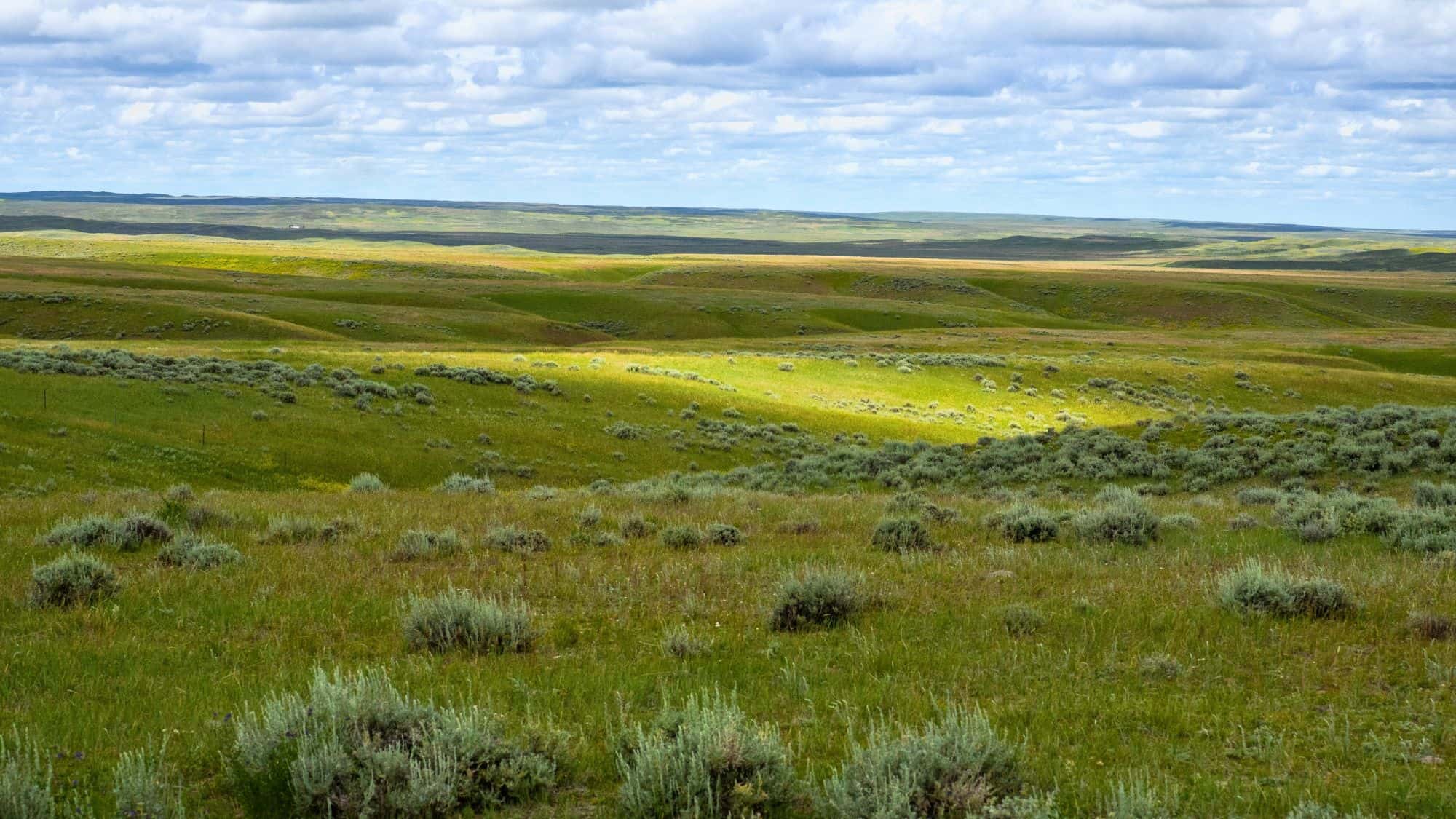 14 Quietest Places On Earth: Where Prairie Silence Stretches For Miles