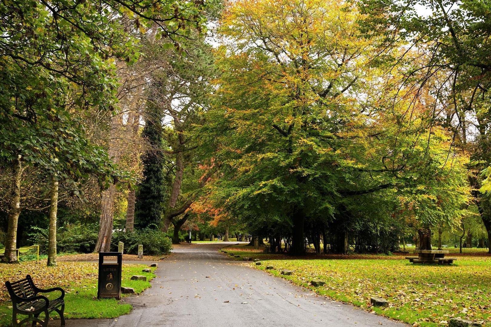 Belfast Irish signs: Popular park and gig venue at unionist area to be ...